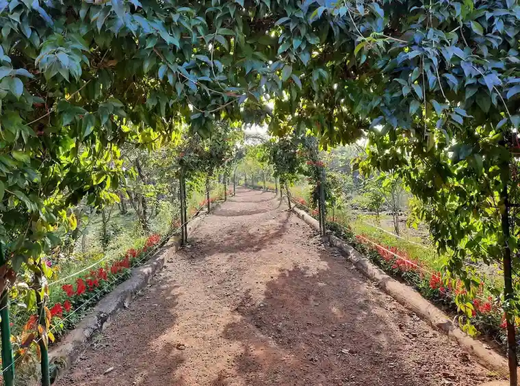 Jaydev Vatika Bhubaneswar 2025 – Nature, Culture & Picnic Guide